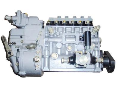 China Fuel Injector Pump for Weifang Diesel Engine 295 495 4100 4105 6105 6113 6126 for sale