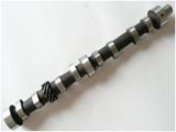 China Camshaft for Weifang Diesel Engine 295 495 4100 4105 6105 6113 6126 Engine Parts for sale