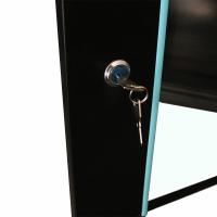 China Server Room 9u Wall Mount Server Rack with Design Glass Door 19 Inch Network Cabinets for sale