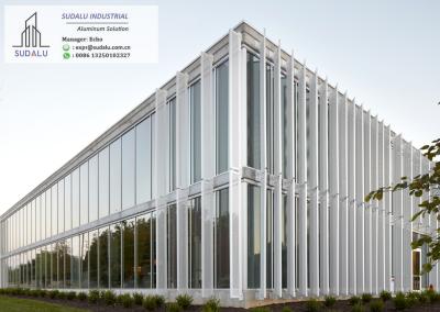 China SUDALU PVDF OEM Design Aluminum Facade Cladding Panel for Outdoor Decoration Metal Perforated Panel for sale