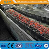China ST/S2500 Fire Resistant Steel Cord Conveyor Belt Fire Retardant Conveyor Belt for sale
