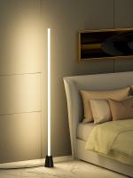 China 30000 Hours Lifespan Third Gear Stepless Dimming Color Temperature Smart Floor Light for sale