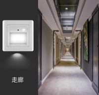 China Indoor Stairs LED Staircase Lights with Motion Sensor and AC 110-240V Input Voltage for sale