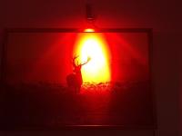 China Switch Control LED Desk Lamp for Hotel and Office CE ROHS LVD EMC Certificate for sale