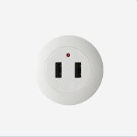 China 1A Rated Current Embedded USB Type A and Type C Socket for Household Appliance Charging for sale