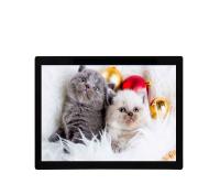 China Capacitive 19 Inch Monitor Wall Mount OSD Touch Monitor IPS Embedded for sale