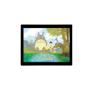 China DC 12V3A 19 Inch Industrial LCD Monitor Waterproof LCD Monitor ROHS for sale