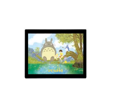 China DC 12V3A 19 Inch Industrial LCD Monitor Waterproof LCD Monitor ROHS for sale