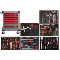 China 232 Pieces Audi Car Automotive Maintenance Tool Set With Aluminium Components for sale