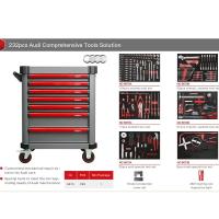 China 232 Pieces Audi Car Automotive Maintenance Tool Set With Aluminium Components for sale