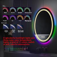 China Oval RGB LED Lighted Smart Bathroom Mirror High Definition Eco-Friendly Explosion-Proof Anti-Fog Modern Design IP44 Illuminated for sale