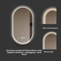 China Modern Anti-Fog Oval LED Illuminated Bathroom Vanity Mirror Simple Smart Rectangle Touch Control for Hotel Apartments Villas for sale