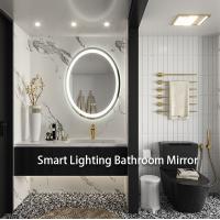 China Modern LED Dimmable Oval Shape Bathroom Vanity Mirror Wall Mounted Glass Frameless with Illumination for Makeup IP44 Rated for sale