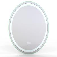 China Modern LED Dimmable Oval Shape Bathroom Vanity Mirror Wall Mounted Glass Frameless with Illumination for Makeup IP44 Rated for sale