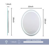 China Modern LED Dimmable Oval Shape Bathroom Vanity Mirror Wall Mounted Glass Frameless with Illumination for Makeup IP44 Rated for sale