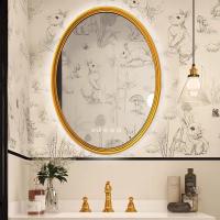 China French Vintage Carved Frame Smart Bathroom Mirror Energy-Saving LED Light Oval Contour Anti-Fog Modern Salon Apartment Villa for sale