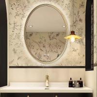 China French Vintage Carved Frame Smart Bathroom Mirror Energy-Saving LED Light Oval Contour Anti-Fog Modern Salon Apartment Villa for sale