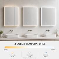 China Kingstin Customizable Aluminum LED Mirror Cabinet with 3 Color Lighting and Interior Storage for Modern Bathrooms | 8+ Years for sale