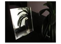 China Bathroom Colored Mirror Glass 3mm to 8mm Thickness Custom Shape for Hotel for sale