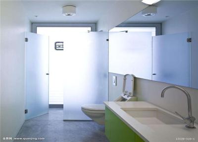 China Safety Tempered Frosted Glass Sheets 4.5mm-19mm Custom Bathroom Door Glass for sale