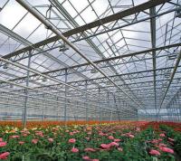 China Custom Size 4mm AR Coating Tempered Horticultural Glass for Greenhouse 86.8% UV Transmittance for sale