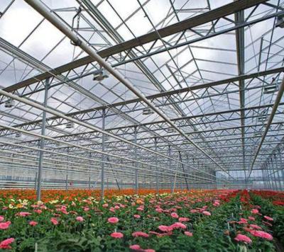 China Custom Size 4mm AR Coating Tempered Horticultural Glass for Greenhouse 86.8% UV Transmittance for sale