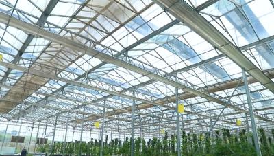 China Customizable Tempered Solar Glass 300x300mm High Transmittance AR Coated for Greenhouse for sale