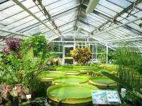 China 4mm Tempered Greenhouse Glass Panels CE Approved High Light Transmittance Float Glass for sale