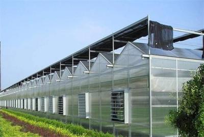 China Tempered Solar Glass 86.8% UV Transmittance Custom Size Greenhouse Glass for sale