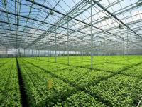 China High Transmittance Tempered Solar Glass 300x300mm Custom Size Greenhouse Panel for sale