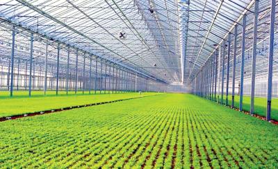 China 4mm Tempered Greenhouse Glass 300x300mm High Transmittance Solar Glass for sale