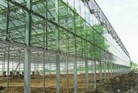 China Customizable 4mm Toughened Glass Greenhouse Panel 300x300mm High Transmittance for sale
