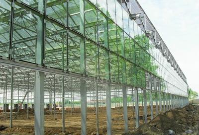 China Customizable 4mm Toughened Glass Greenhouse Panel 300x300mm High Transmittance for sale