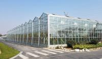 China Tempered Solar Glass 4mm High Transmittance 86.8% UV for Greenhouse Garden for sale
