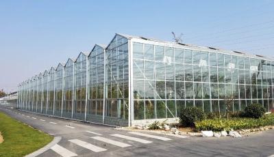 China Tempered Solar Glass 4mm High Transmittance 86.8% UV for Greenhouse Garden for sale