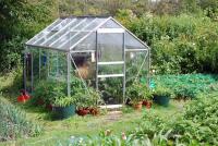China Custiomized Greenhouse Glass Panels Tempered Patterned Glass Panel Durable for sale