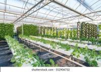 China 4mm Tempered Glass Greenhouse Panels Customizable 300x300mm AR Coated Low Iron for sale