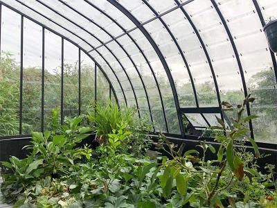 China Tempered Solar Greenhouse Glass 4mm Customizable Size 86.8% UV Transmittance for sale