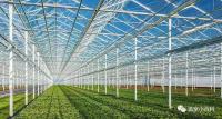 China Customizable Tempered Greenhouse Glass Panels 3.2mm 4mm High Transmittance 86.8% for sale