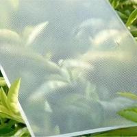 China Low Iron Solar Glass tempered glass with superior light transmittance and packaging prepared for secure container loading for sale