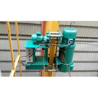China 250kg 500 Kg Chain Electric Crane Hoist With Trolley for sale