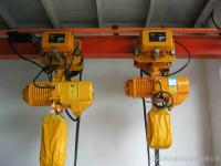 China Custom Single / Two Speed 2 Ton Electric Chain Hoist Pulley for sale