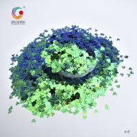China Chameleon Glitter Powder 1KG Bulk PET Material High Temperature Resistant for Nail Art Crafts for sale