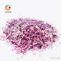 China Chameleon Glitter Powder PET Material 1KG MOQ High Temperature Resistant for Christmas Decorations and Nail Art for sale