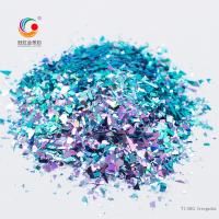 China Chameleon Glitter Powder PET Material 1KG MOQ High Temperature Resistant for Christmas Decorations and Nail Art for sale