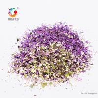 China Chameleon Glitter Powder PET Material 1KG MOQ High Temperature Resistant for Christmas Decorations and Nail Art for sale
