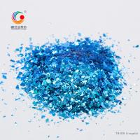China Chameleon Glitter Powder PET Material 1KG MOQ High Temperature Resistant for Christmas Decorations and Nail Art for sale