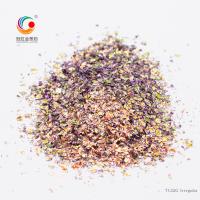China Chameleon Glitter Powder PET Material 1KG MOQ High Temperature Resistant for Christmas Decorations and Nail Art for sale