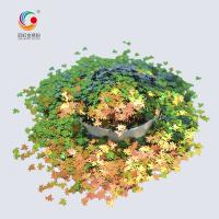 China Gold Green Red Chameleon Glitter Flake Nail Art Maple Leaf Powder - 1KG MOQ, High Temperature Resistant PET Material for sale