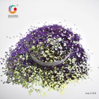 China Chameleon Loose Glitter Powder PET Material 1KG MOQ Photorefractive Stars Rhombic Shapes ODM OEM for sale